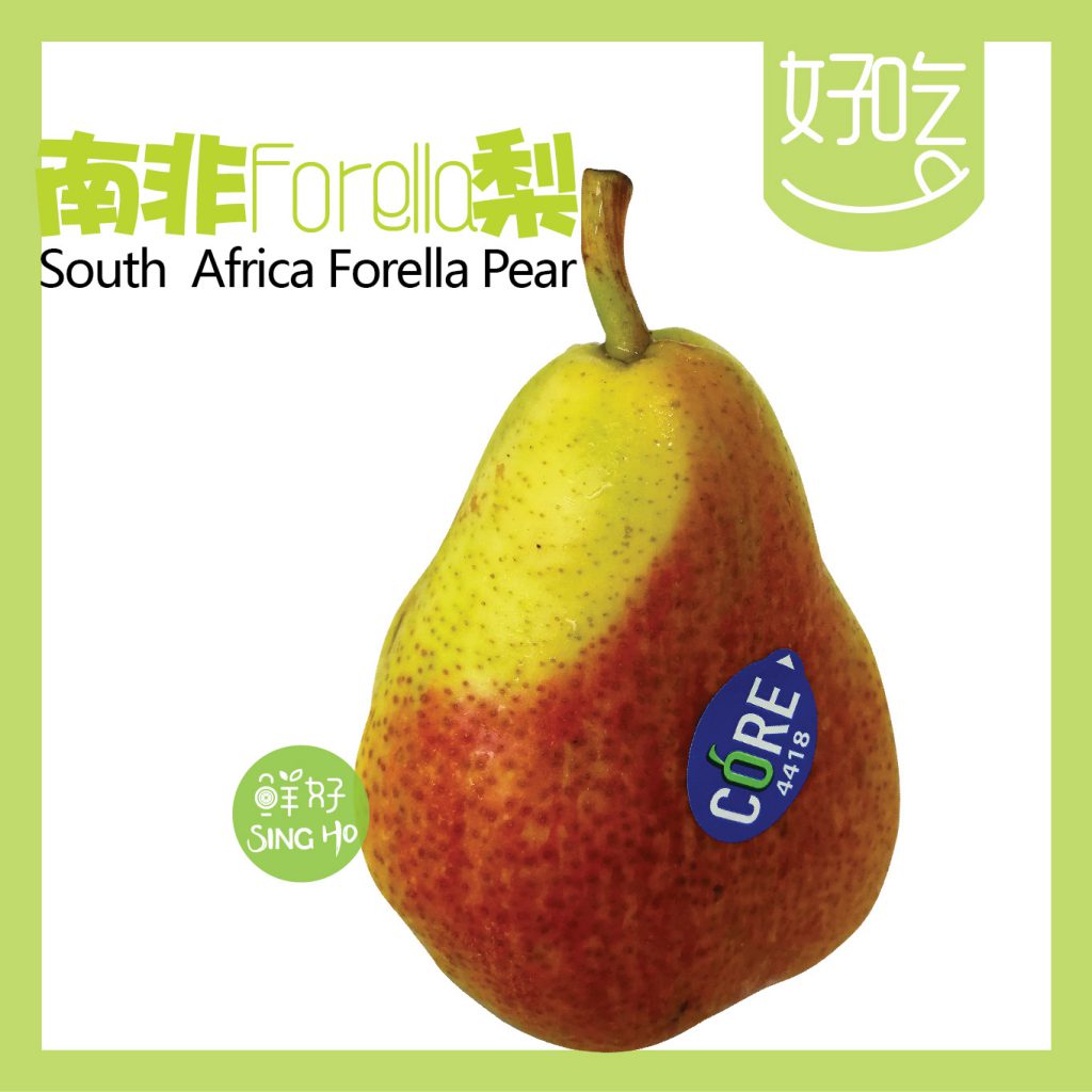 SA Forelle Pear 南非佛瑞拉梨红啤梨 ( 6pcs ) – Singho Fresh