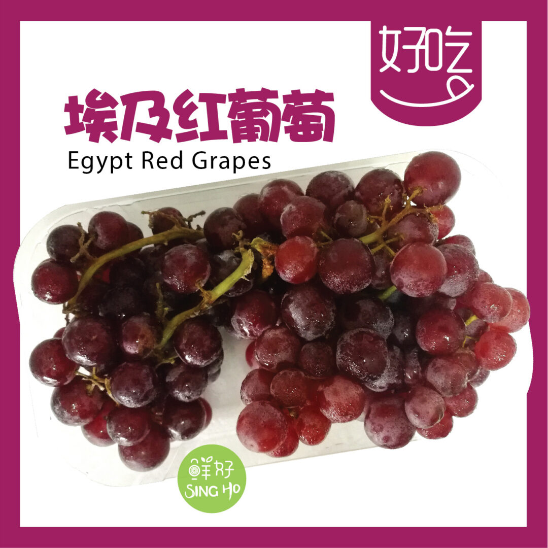 egypt Seedless Red Grapes 埃及红葡萄 ( 1box ) – Singho Fresh