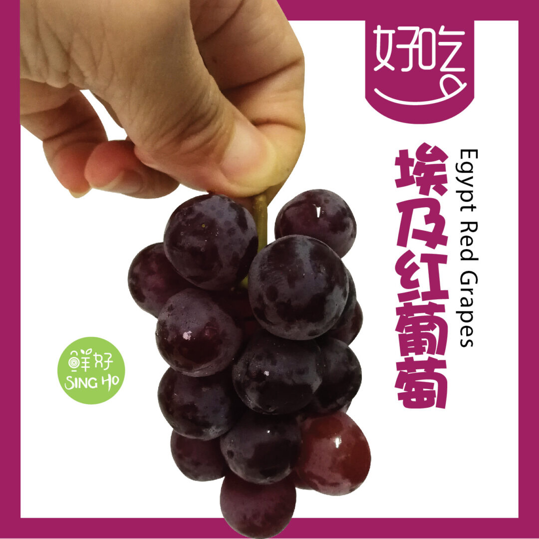 egypt Seedless Red Grapes 埃及红葡萄 ( 1box ) – Singho Fresh